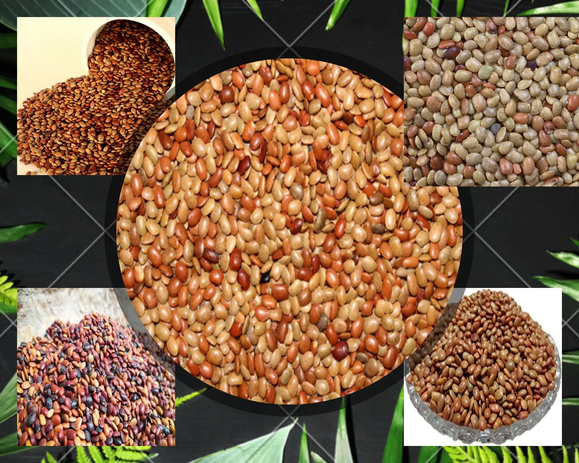 High Quality Raw Bold Peanuts 40/50 Nature 100% Organic Raw Peanuts ...