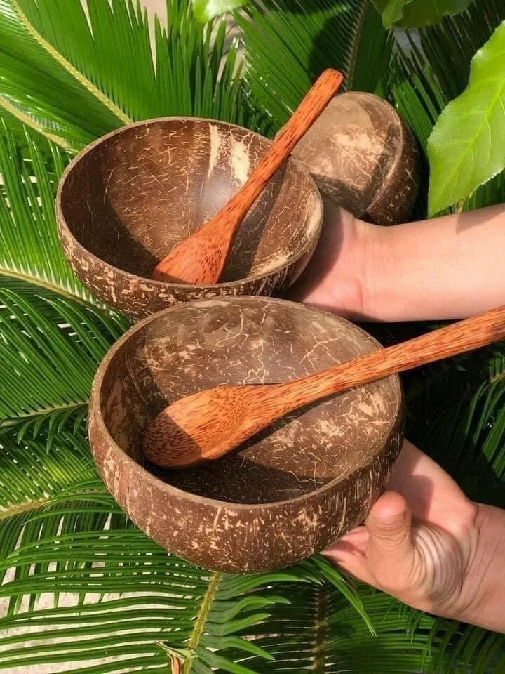 Hot Design 2024 Coconut Shell Bowl From Vietnam Handicraft Product Raw ...