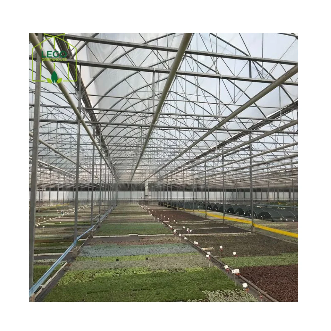 Estructura De Acero Para Cualquier Tipo De Invernadero,Tamaño ...