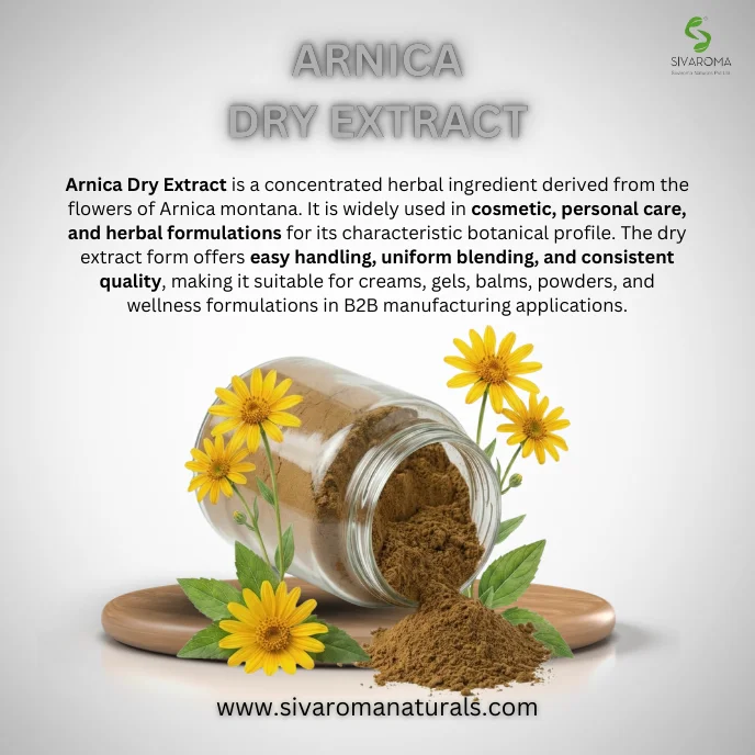 Export Quality Arnica Extract Powder for Cosmetic Manufacturers and ...