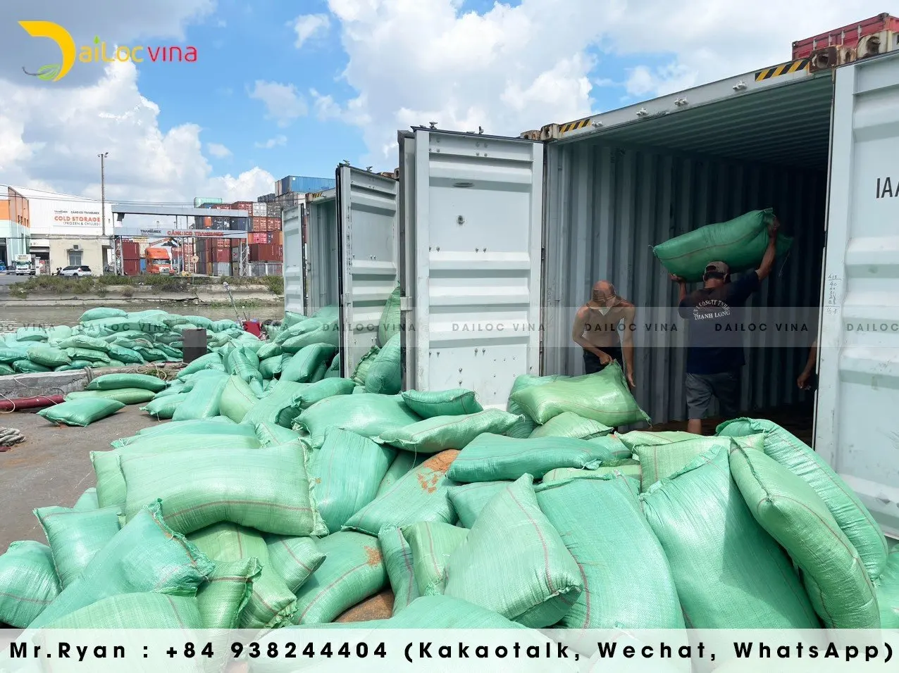 COCO PEAT COCO PITH COIR PITH COCOPEAT WHOLESALE GROW BAGS for GREEN ...