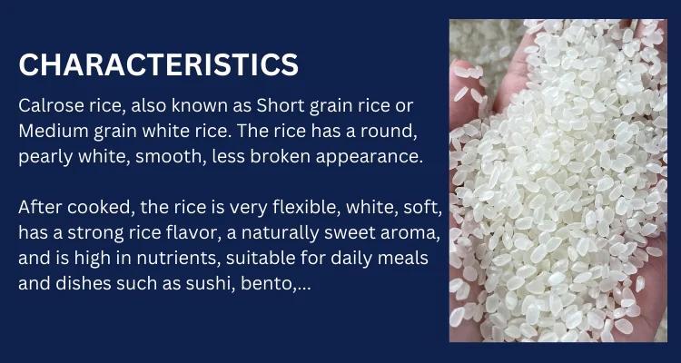 Pacific Calrose Rice - Premium Medium Grain Rice from Vietnam