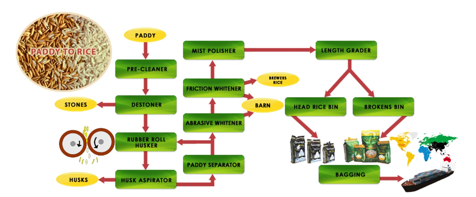 Koshihikari - Japanese Japonica Rice Short Grain From Vietnam Rice Mill ...