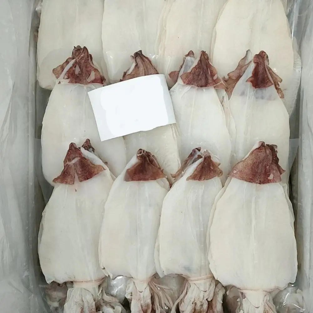 Dried Cuttlefish Frozen Dry Squid From Vietnam Ready To Ship From ...