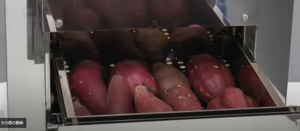 Sweet Potato Maker - TAIJI Electric Roaster (made in Japan)