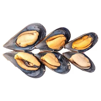 Seafood Shellfish Frozen Half Shell Mussel - Buy Frozen Shellfish ...