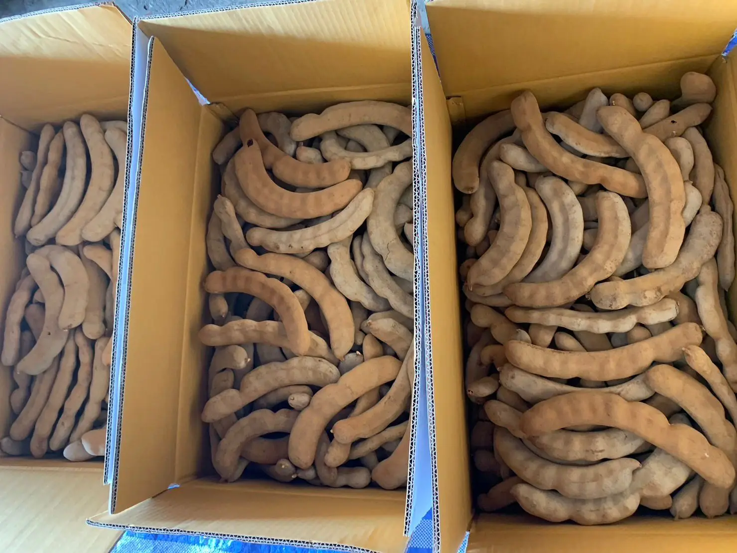 Premium Grade Sweet Tamarind From Thailand. Sweet Natural Direct From ...