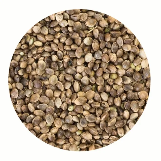 Wholesale Bulk Hemp Seed With Export Hemp Seeds - Buy Hemp Seeds Plant ...