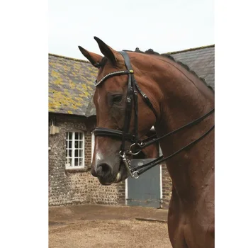 Leather Anatomical Double Bridle Bridle Raised Cavesson Flash Noseband ...