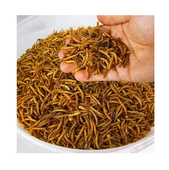 Mealworms Mealworms 100% Non Gmo Natural Dried Mealworms For Chickens ...