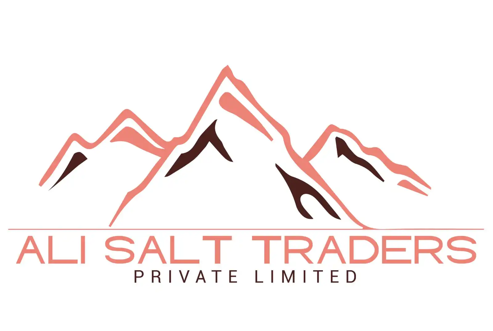 Company Overview - Ali Salt Traders Private Limited