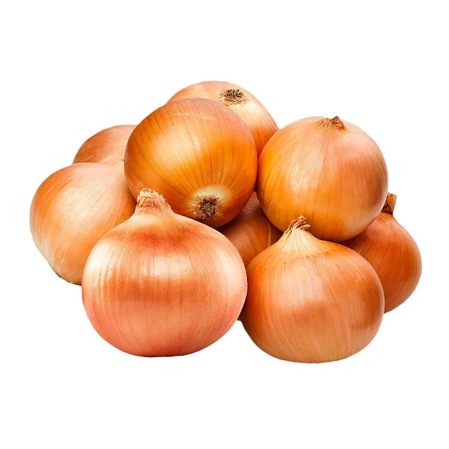 Fresh Red and Yellow Onions from Turkey - Durable & Versatile