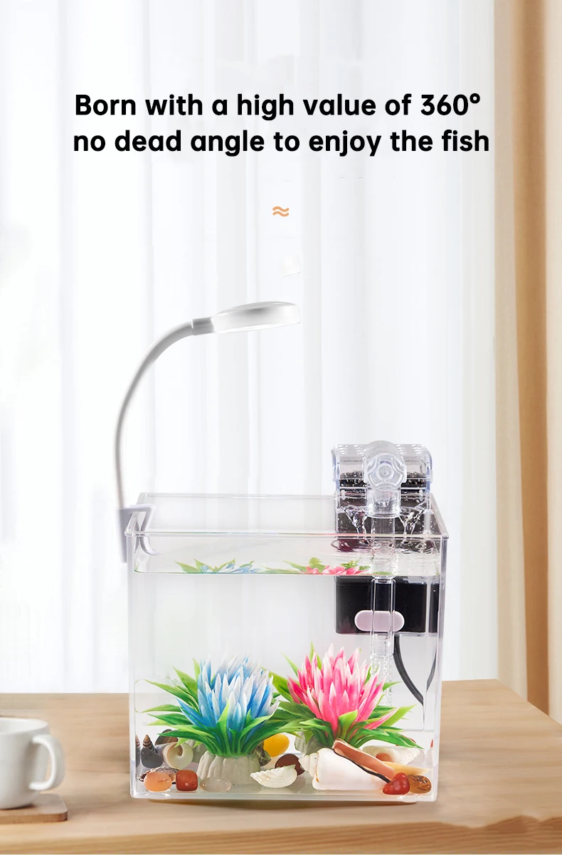 New Arrival DIY Transparent Betta Fish Plastic Tank with Filter ...