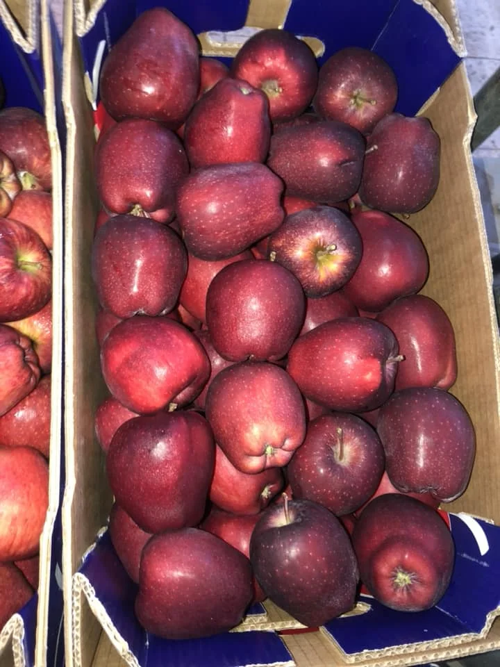 Fresh High Quality Red Apple From Egypt - Buy Red Apple Fruits Moldova ...