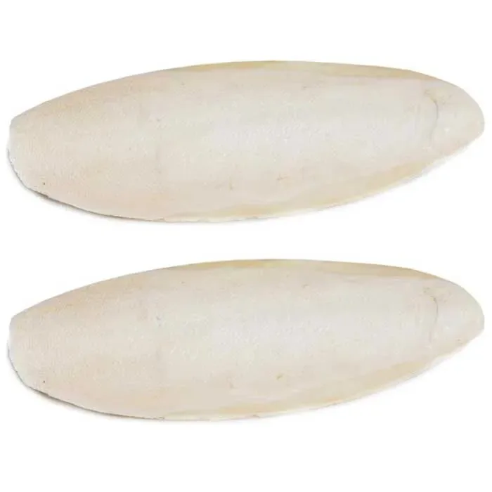 Supplier Cuttle Fish Bone Cuttlefish, Dried Cuttlefish Bone Natural ...