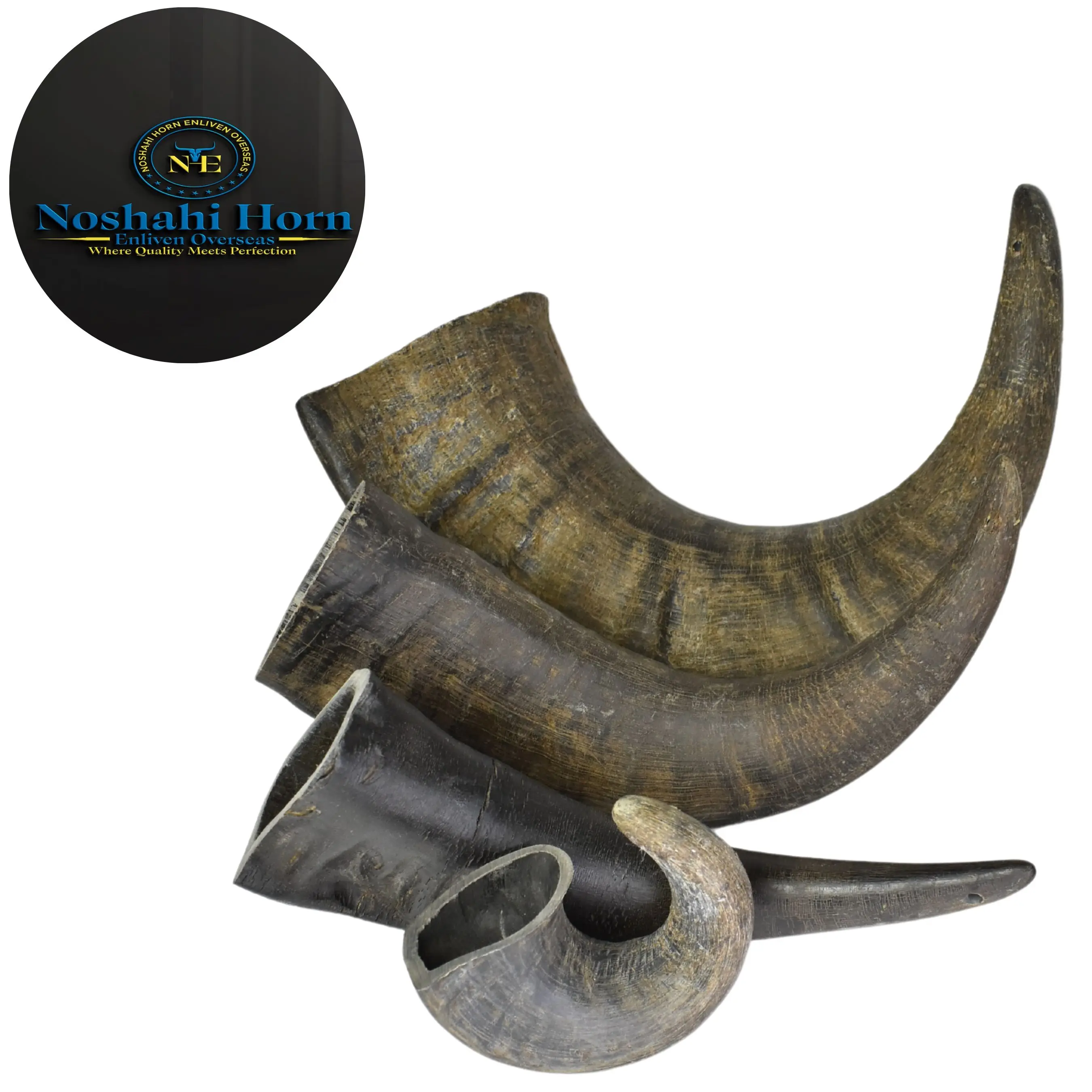 High Quality Natural Dried Buffalo Horn Pet Chew Toy Export Quality ...