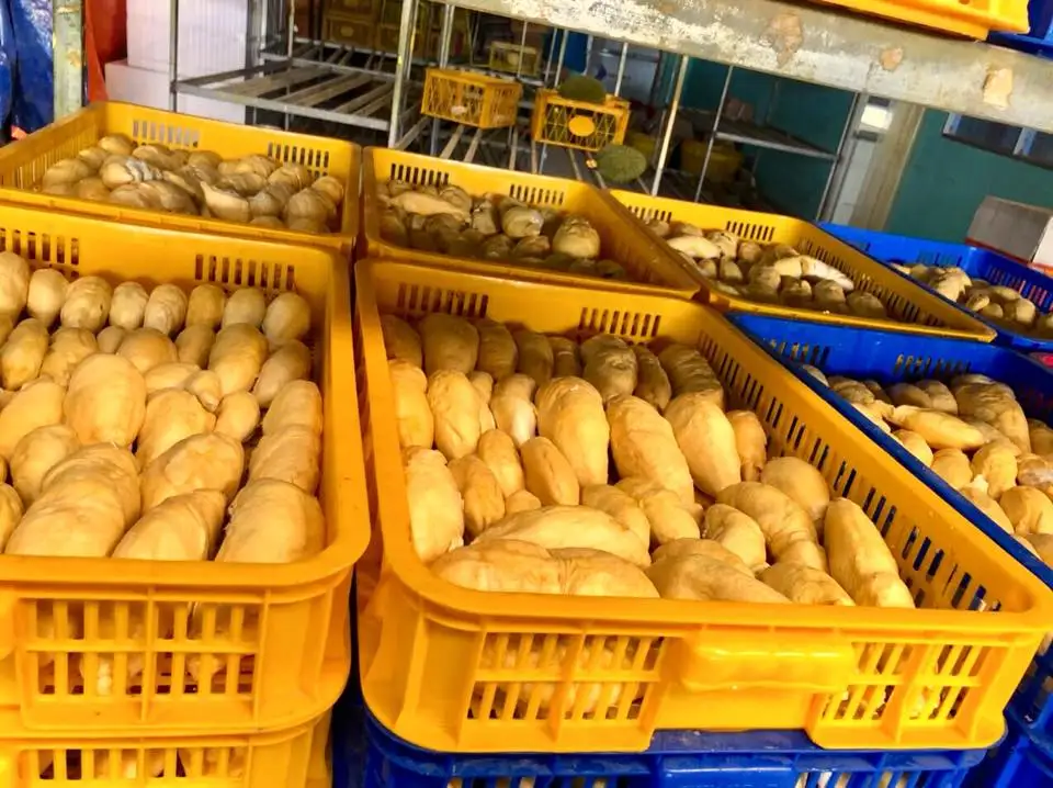 Cheap Price Monthong/ri6 Frozen Durian from Vietnam