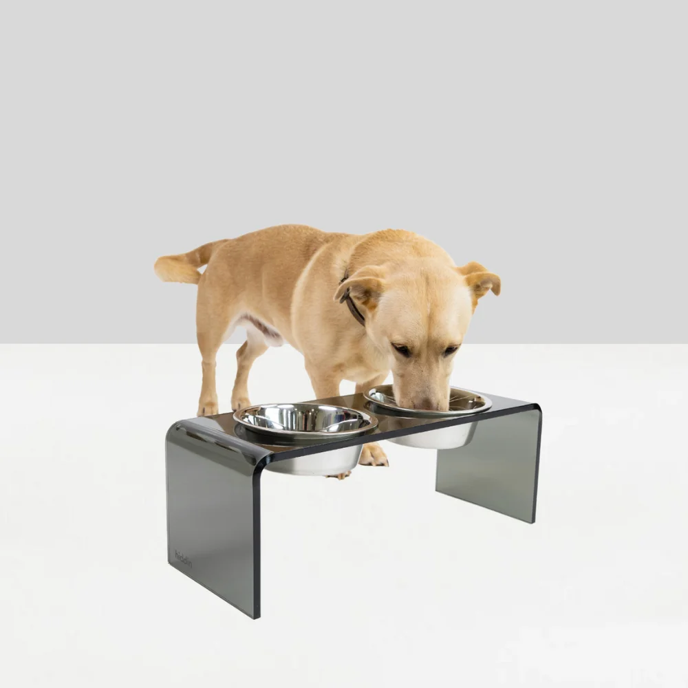 Teddy Dog Feeder Rack With Bowl Acrylic Pets Feeder Stand Rack ...