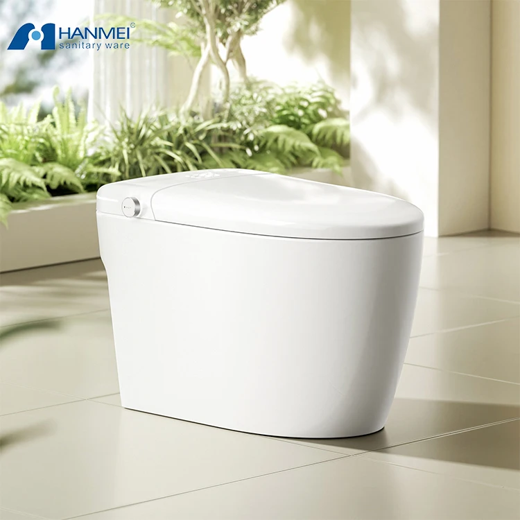 Auto Flush Floor Mounting Automate Smart Bidet Automatic Intelligence ...