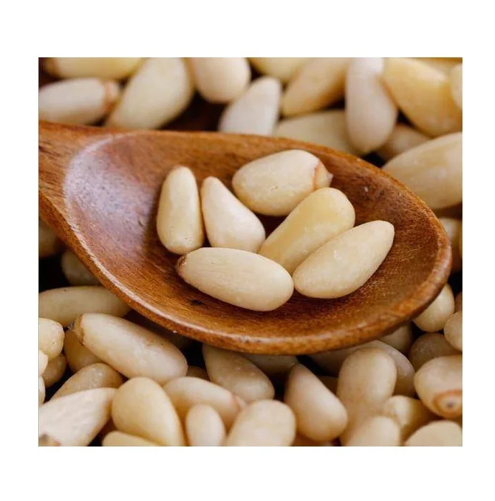 Pine Nut Kernels Original Pine Nuts / Bulk and Small Package Pine Nuts ...