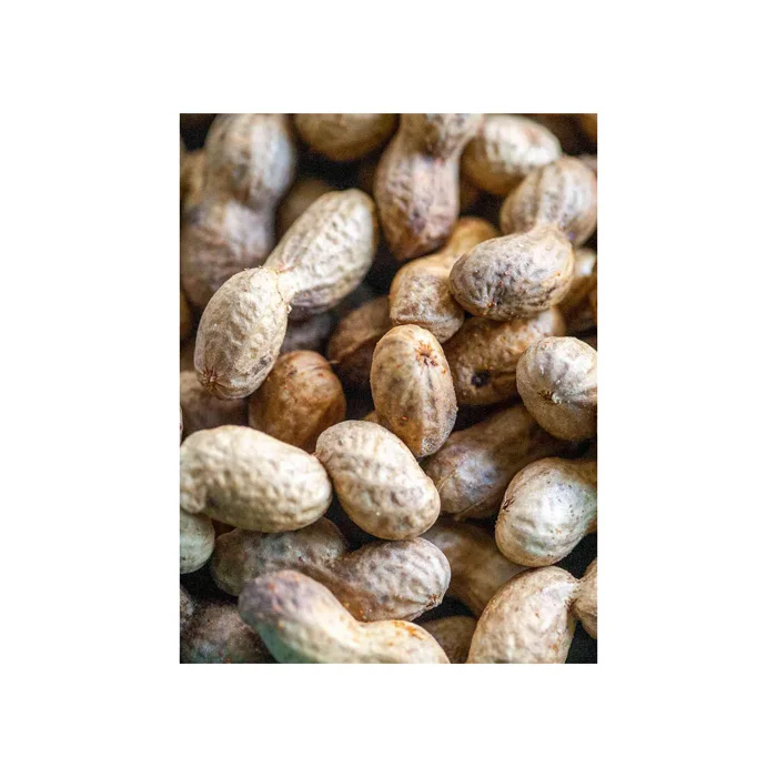 Bulk Raw Pure Sun Dried Peanut | Peanuts Prices - Buy Red Skin Peanuts ...