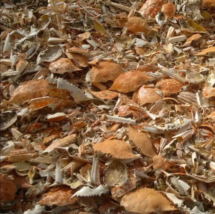 Crab Shell For Cattle跨境商机分析报告行业外贸出口趋势-阿里巴巴国际中文站官网