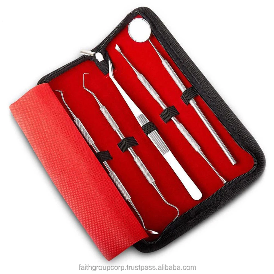 Professional Dental Examination Kit Safety Point 5pcs Oral Care ...