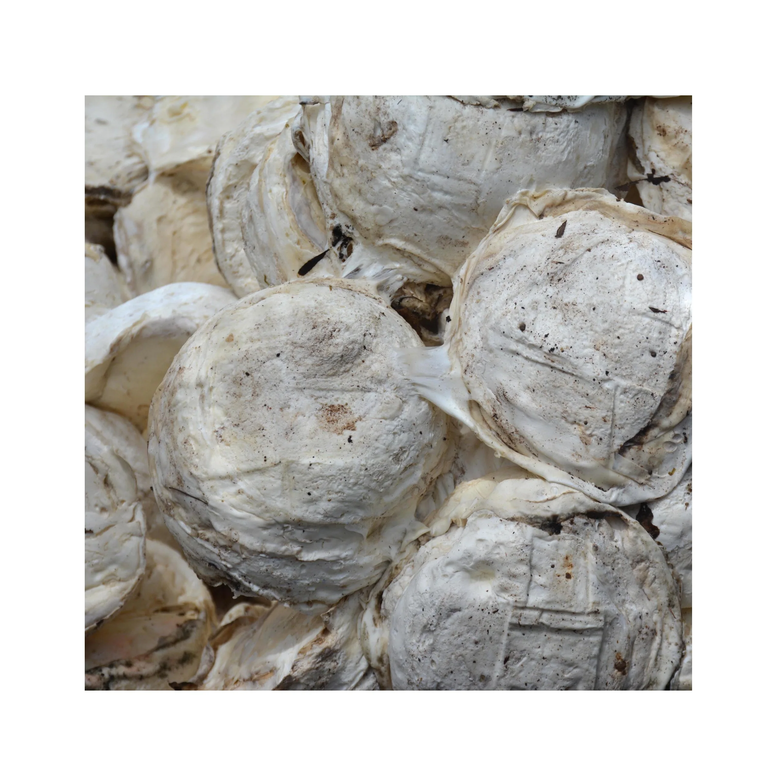 NATURAL RUBBER CUP LUMP| Alibaba.com