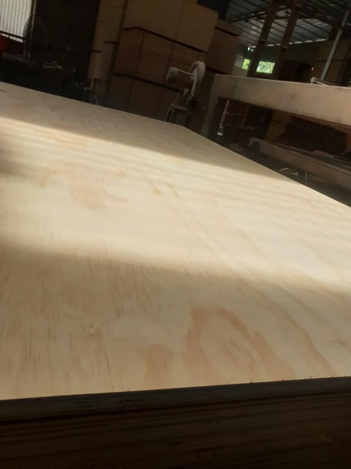 E2 Glue Mr Glue Pine Plywood For Construction And Furniture - Buy Wood ...