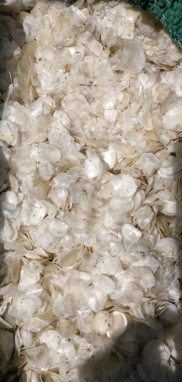 Proteins and Nutrients Sun Dried Tilapia Fish Scale Red Snapper Scale ...
