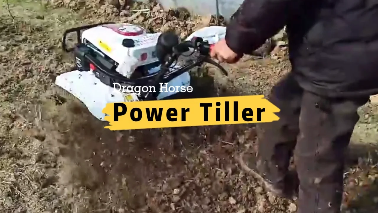 Mini Power Tiller Mini Land Cultivation Machine Farm Motocultor Two ...