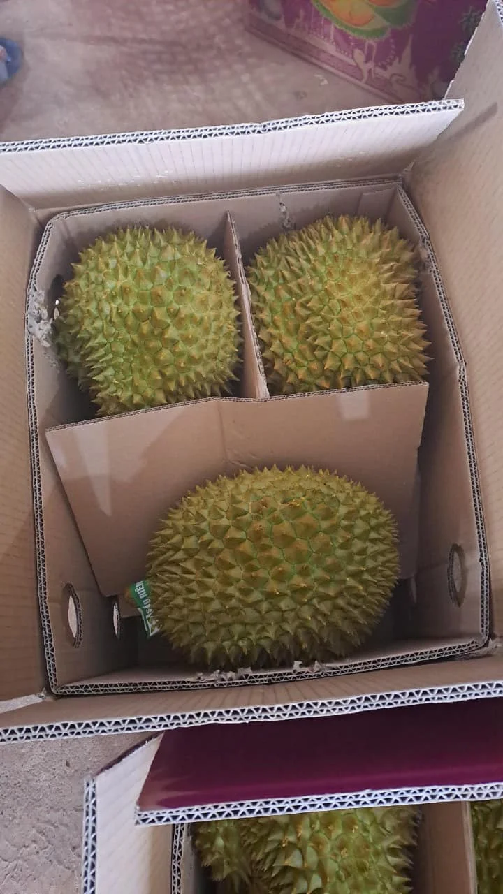 Monthong Durian Made in Vietnam so Fresh Premium Quality Frozen Whole ...