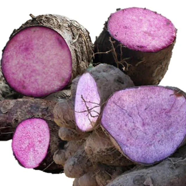 Best Quality Frozen Grated Yam In Vietnam Supplier - Buy Frozen Grated ...