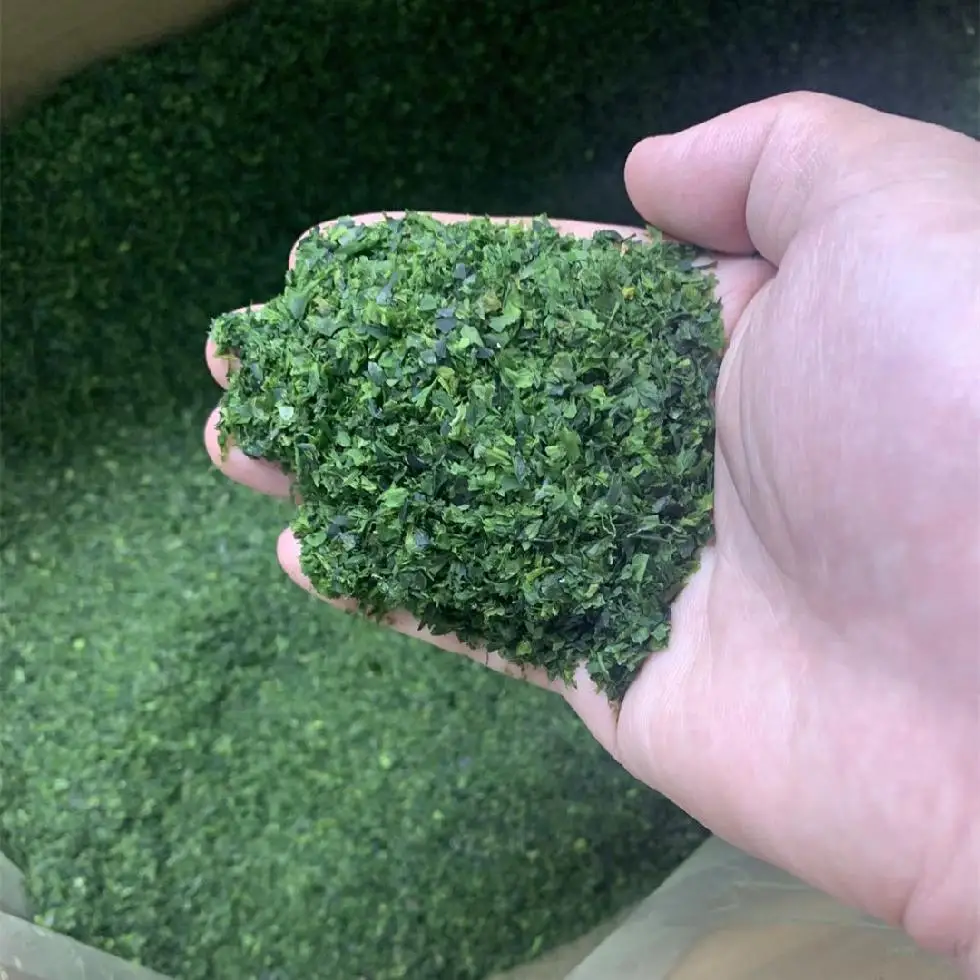 Green Seaweed Powder / Ulva Lactuca Seaweed for Sale| Alibaba.com