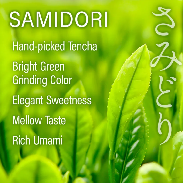Premium Samidori Single Origin Uji Matcha Green Tea Powder 100% Natural ...