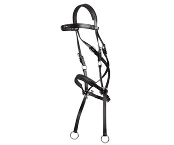 Bitless Bridle It Features Under Jaw Straps Which Add Gentle Pressure ...