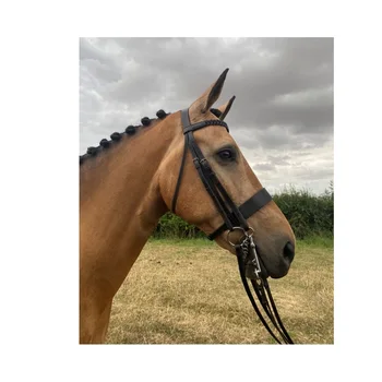 Build A Double Show Bridle High Quality Western Leather Bridle Western ...