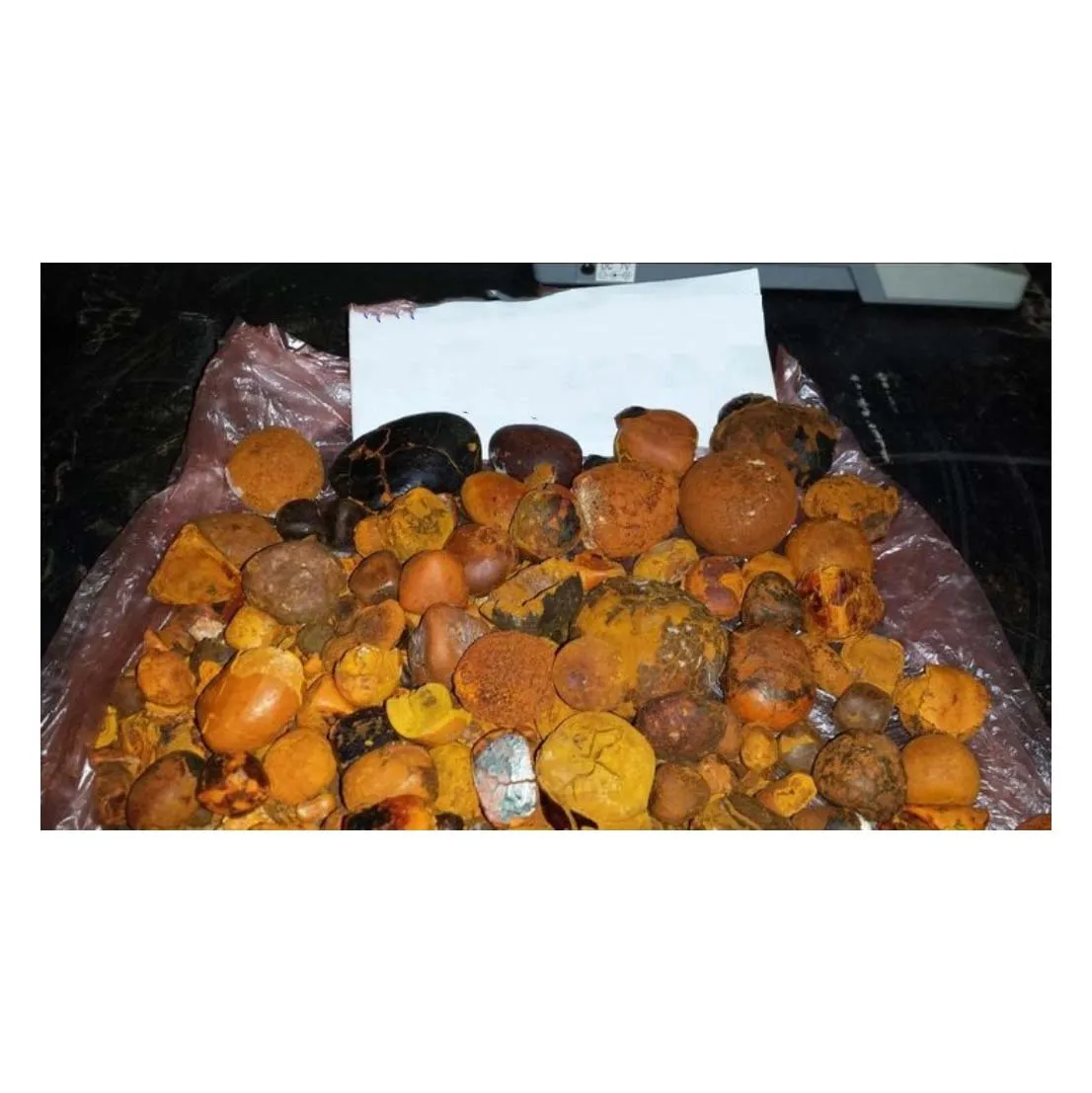 Ox Gallstones 80/20 Cow,Ox,Cattle Gallstones 100% Natural Ox Gallstones ...