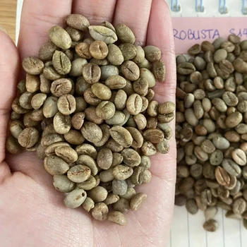 Arabica/robusta Coffee Bean From Vietnam Factory - Wa 84 914737413 ...