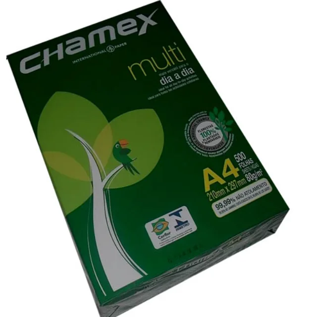 Chamex A4 Copy Paper 80 gsm Papel Resma Chamex / DOUBLE A COPIER PAPER ...