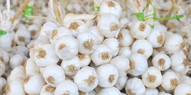 Fresh Natural White Garlic/ 2024 Harvest/ Top Quality Garlic/ Natural ...