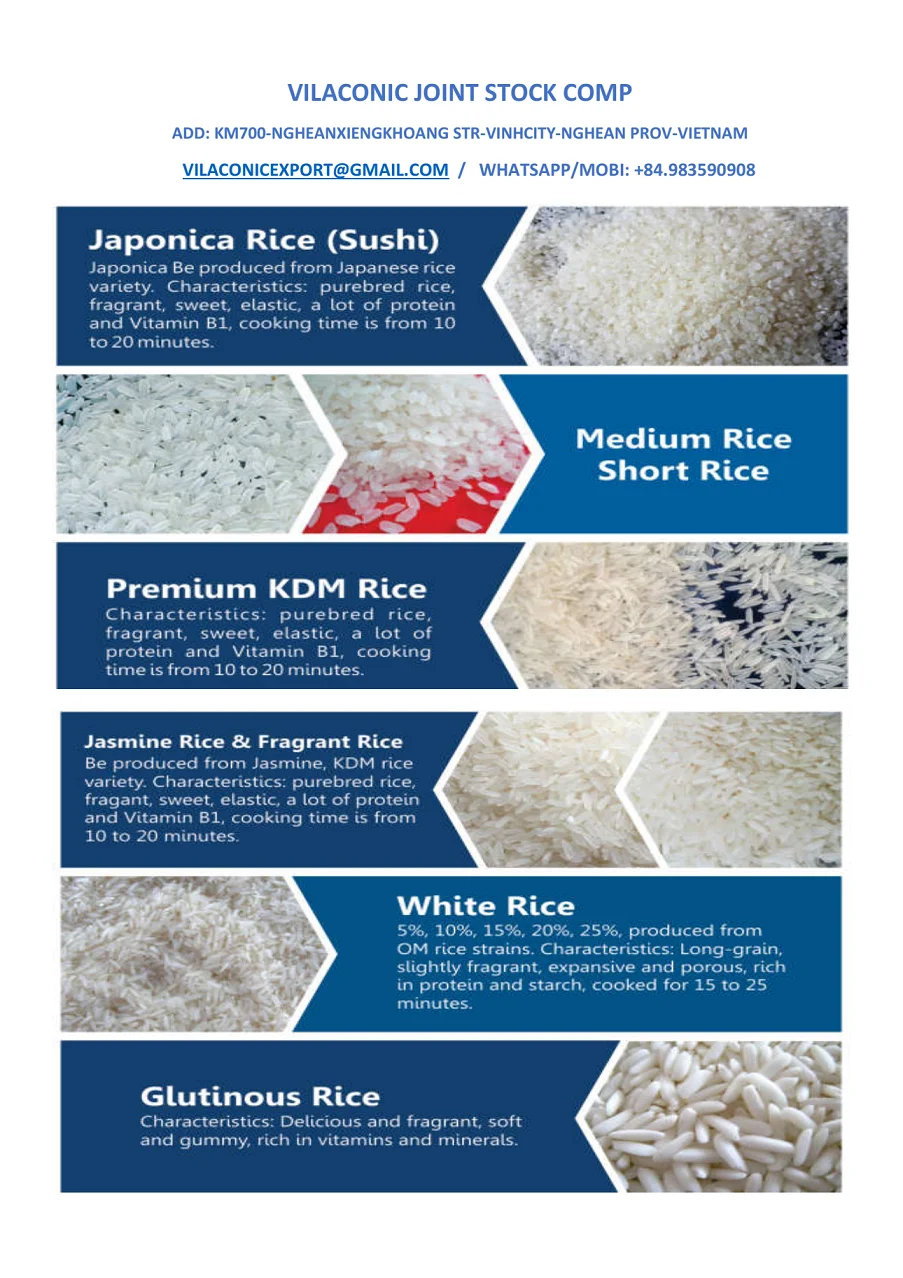 High Quality Vietnam Perfume White Rice Broken Jasmine and Thai Riz ...