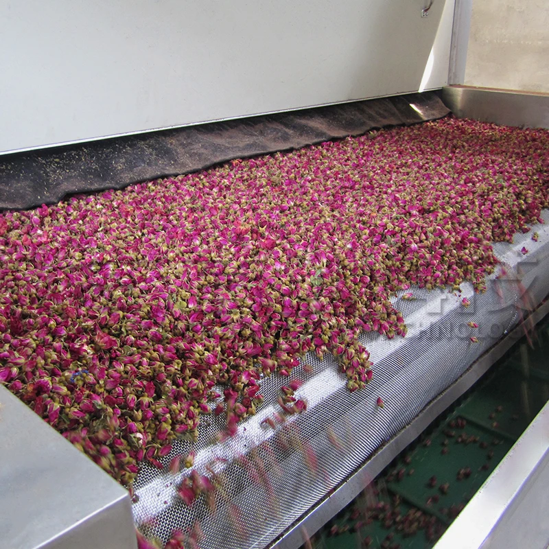 20 Tons Dried Kaffir Lime Leaves Mesh Belt Dryer Lemon Leaf Mint ...