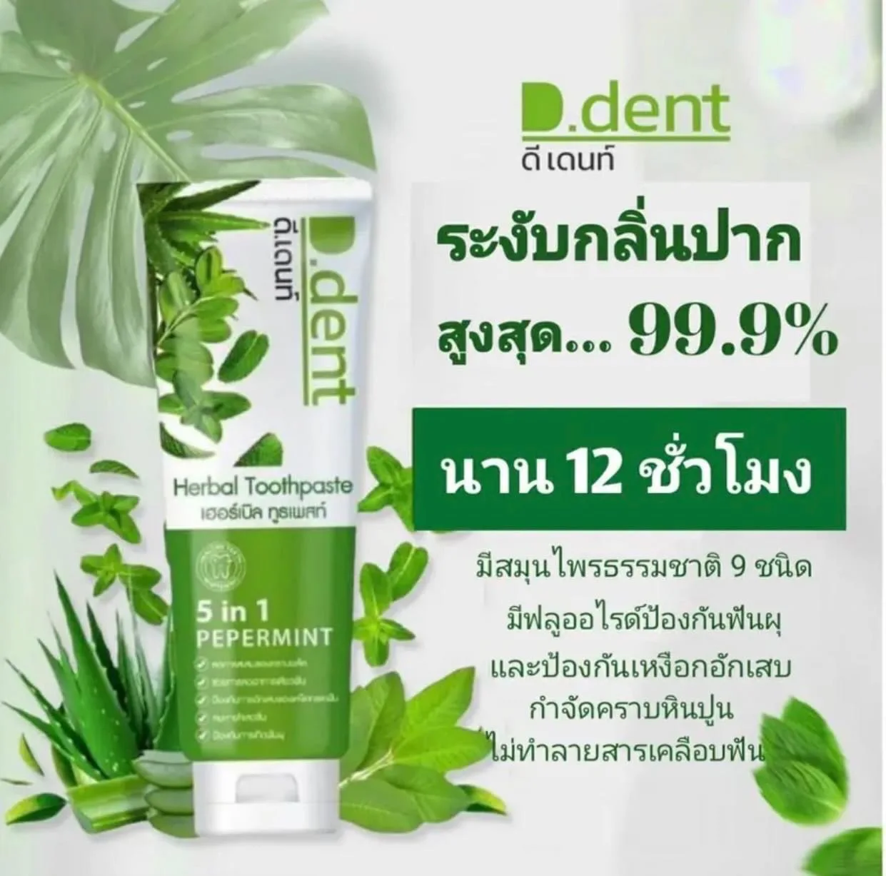 Thai Herbal Toothpaste Brand D Dent Natural Toothpaste And Charcoal ...