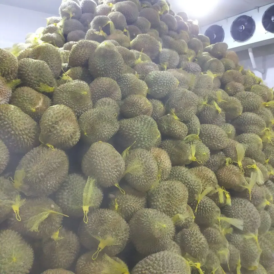 Frozen Durian - Premium Natural Durian Slices from Vietnam