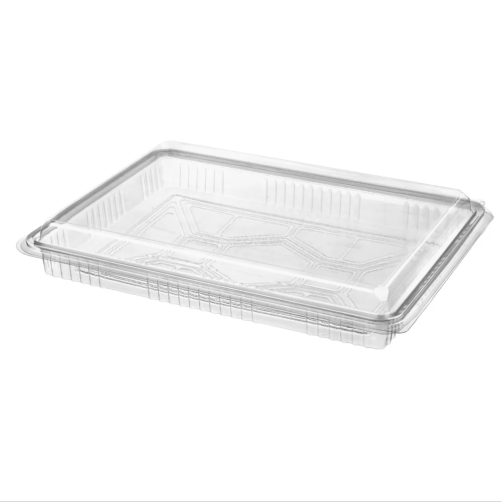 Packaging Boxes 1000cc Plastic Leak Proof Container Disposable Leak ...