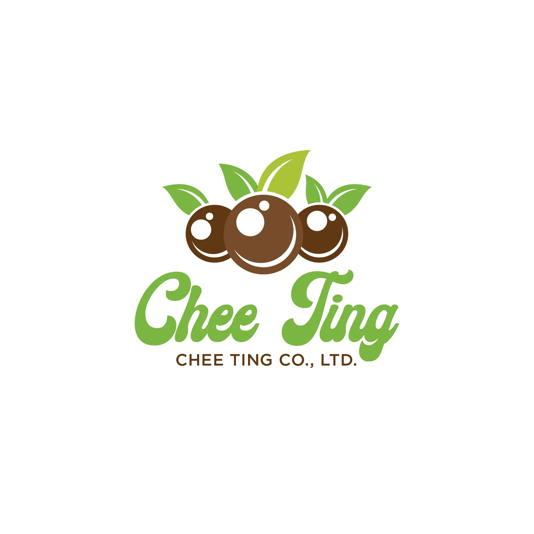 Company Overview - CHEE TING COMPANY LIMITED