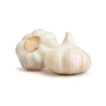 Fresh Garlic, Ginger, Fresh Onion, for Sale| Alibaba.com