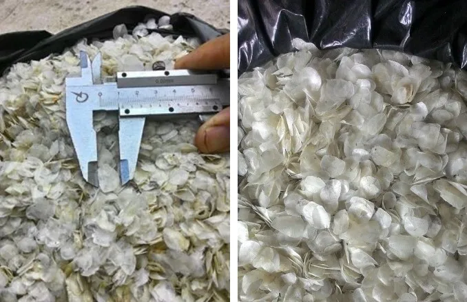 Dried Seabass Fish Scale - Dried Tilapia Fish Scale From Vietnam ...