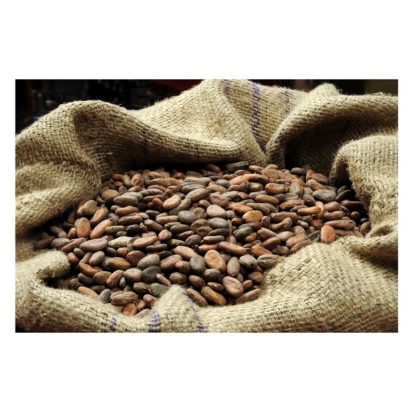 Cocoa Beans New Crop Fermented Cocoa Beans - Buy Fermented Cocoa Beans ...